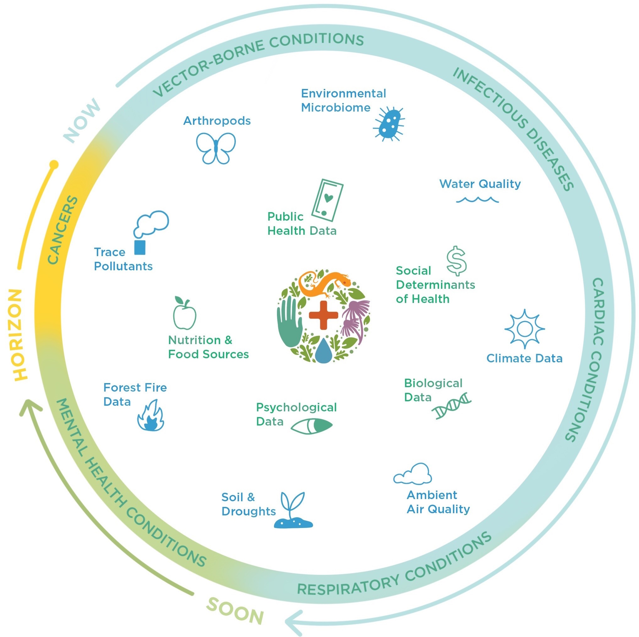 Precision Health and Environment | The University of Tennessee, Knoxville
